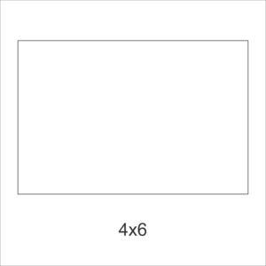 Chloroplast Signs everythingu